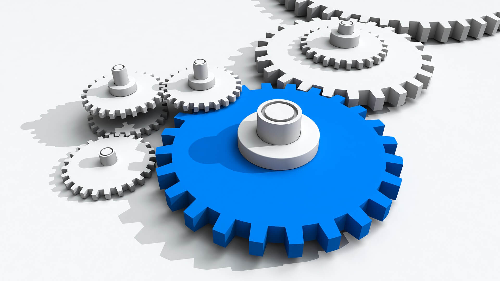 Services – Kaveo Global